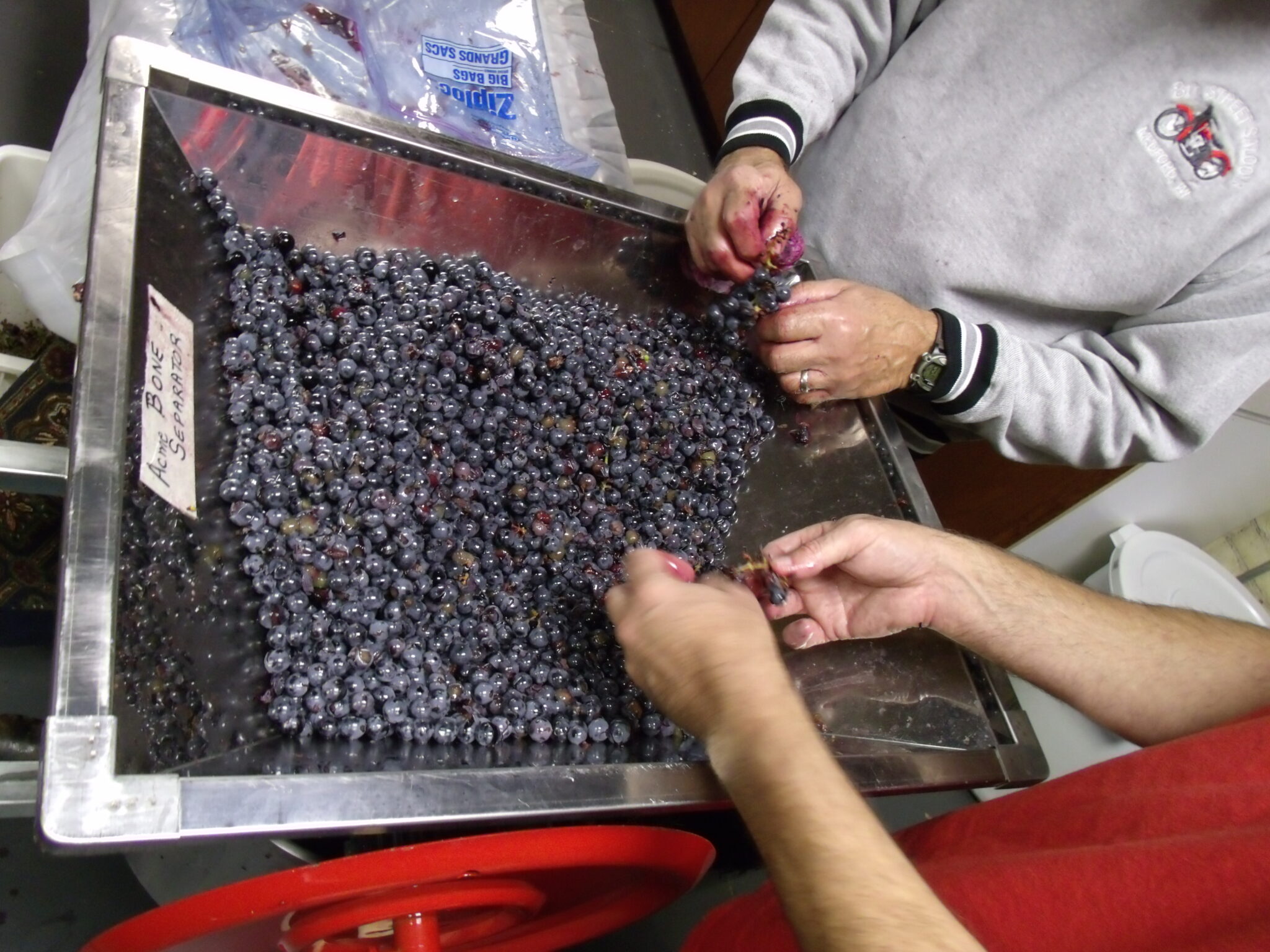 Basic Winemaking Procedure – Hop To It Brewing and Winemaking Tips